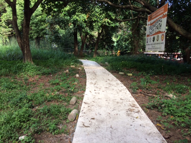 Footpaths at the College of Engineering Complex, UP Diliman « Caught ...